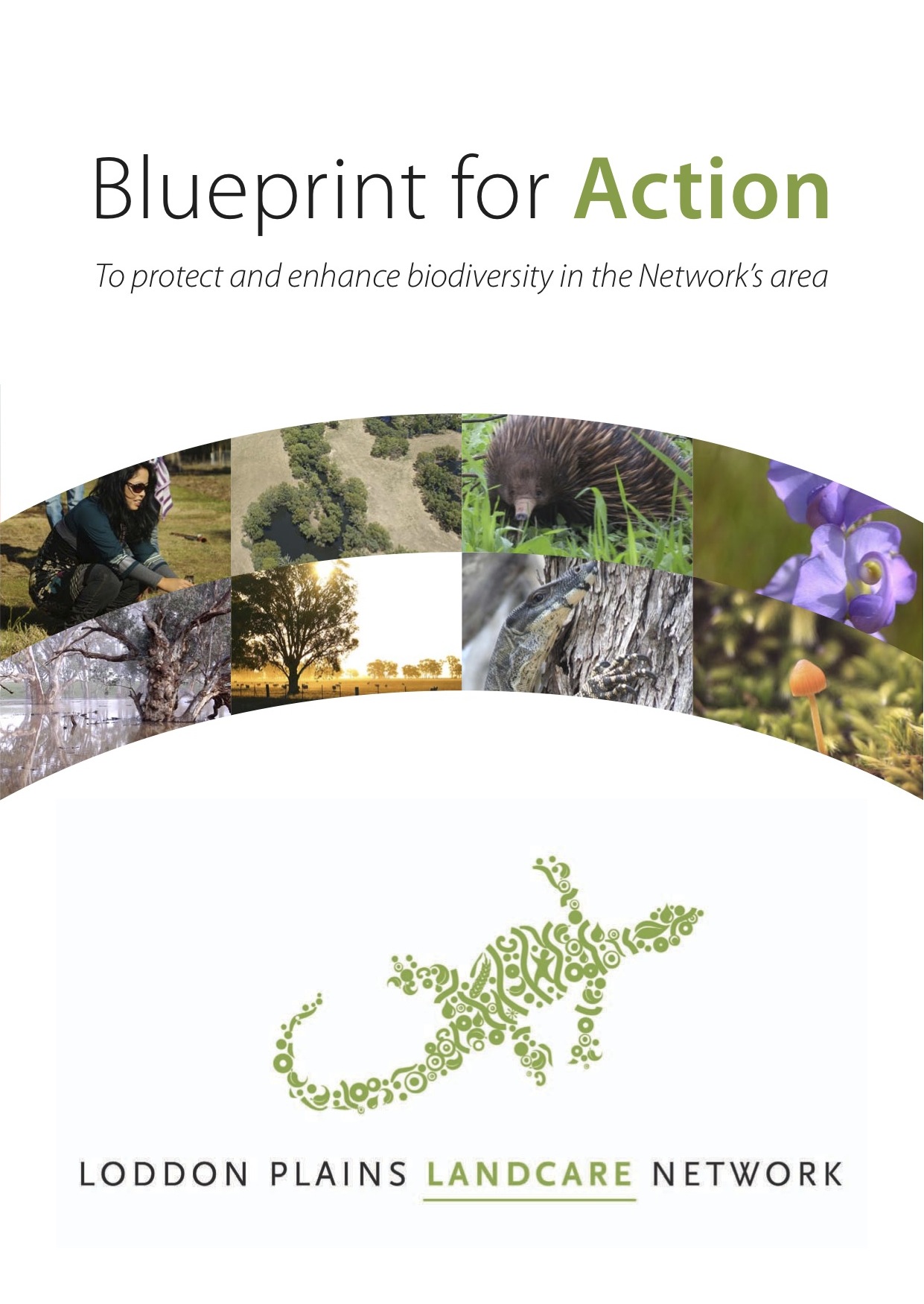 Blueprint For Action – Loddon Plains Landcare Network Inc.